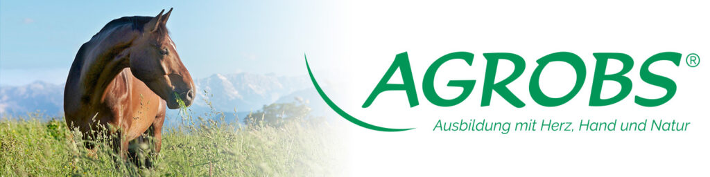 AGROBS GmbH & Co. KG – StudySmarter – Talents